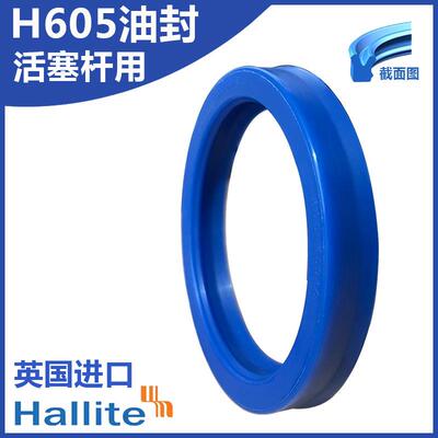 HALLITE英国赫莱特油封H605活塞杆密封圈40 45 50 60 53 63 55 65
