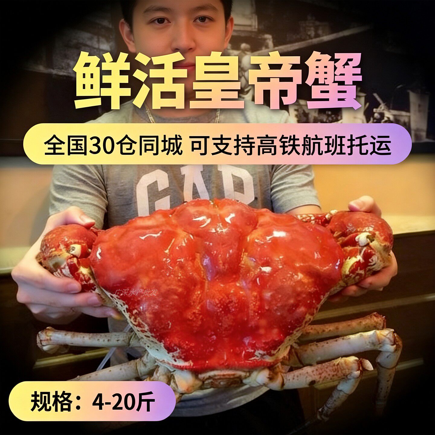 鲜活皇帝蟹澳洲新鲜海鲜水产特巨超大10斤帝王长脚蜘蛛雪螃蟹