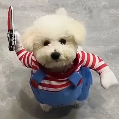 Halloween Funny Dog Clothes Small Medium Large Dogs Cat Cosp