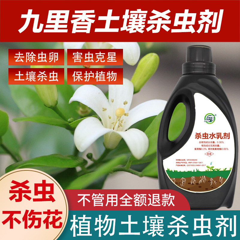 九里香 土壤杀虫剂花卉植物地下害虫蚧壳虫小黑飞蚜虫家用盆栽草