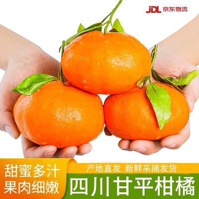 [京东]四川甘平柑橘皇后高端水果当季新鲜水果蜜橘子香甜皮薄多汁