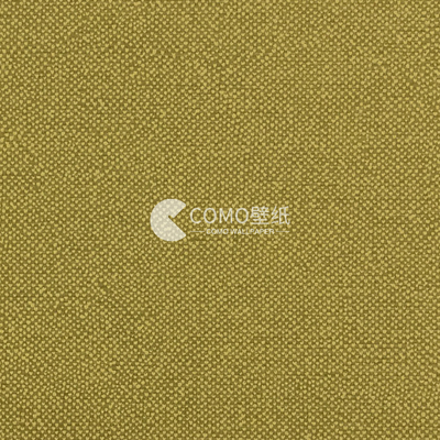 诺奇兄弟 商业空间墙纸RS88806 RSF1126 RSF1129 RS89703 RSF1145