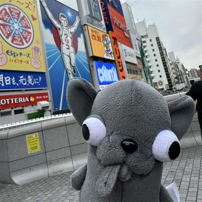 ChiHuaHua变异吉娃娃玩偶公仔