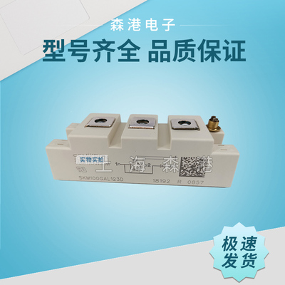 原装现货 SKM100GAL123D IGBT模块全新
