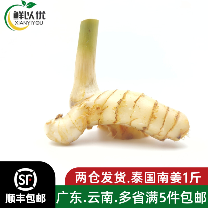 泰国南姜新鲜高良姜泰式冬阴功汤原材料调料火锅底料蔬菜生姜香料
