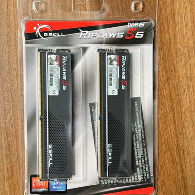 议价芝奇GSKILL F5-6000J3636F32GX2-R—再拍！