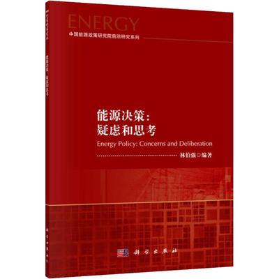 能源决策:疑虑和思考:concerns and deliberation林伯强 能源经济经济发展研究中国经济书籍