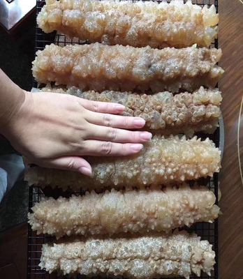 澳洲深海黄肉海参500g土耳其非