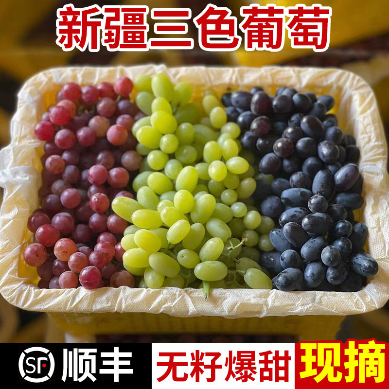 【顺丰包邮】新疆吐鲁番三色葡萄新鲜水果2026现摘无籽葡萄青提子