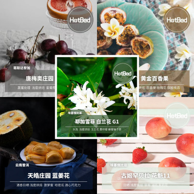 新产季b组咖啡温床咖啡