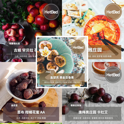 新产季b组咖啡温床咖啡