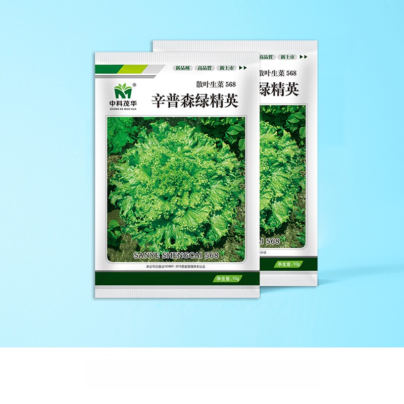 中科茂华蔬菜种子辛普森绿精英568散叶生菜种子大叶生菜種子