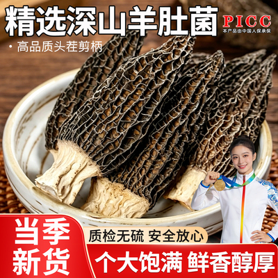 云南2026头茬菇【严选羊肚菌】