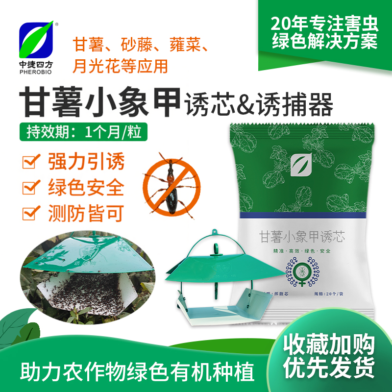 中捷四方甘薯小象甲诱芯性诱剂诱捕器套装红薯地甲虫 昆虫信息素