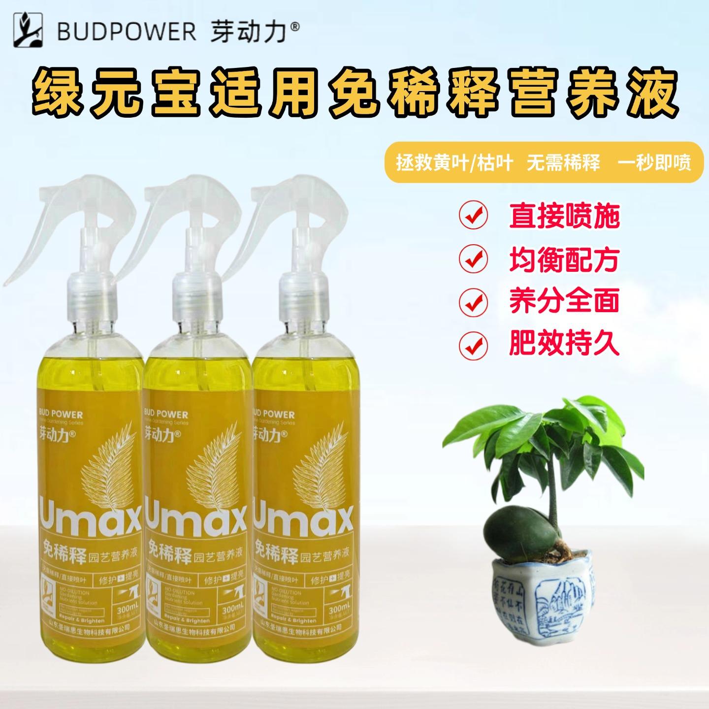 绿元宝开心果栗豆树免稀释营养液老桩盆栽绿植物专用喷施叶面肥料