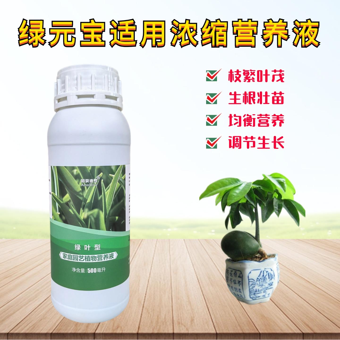 绿元宝开心果栗豆树浓缩营养液盆栽绿植物专用氮磷钾水溶花卉肥料