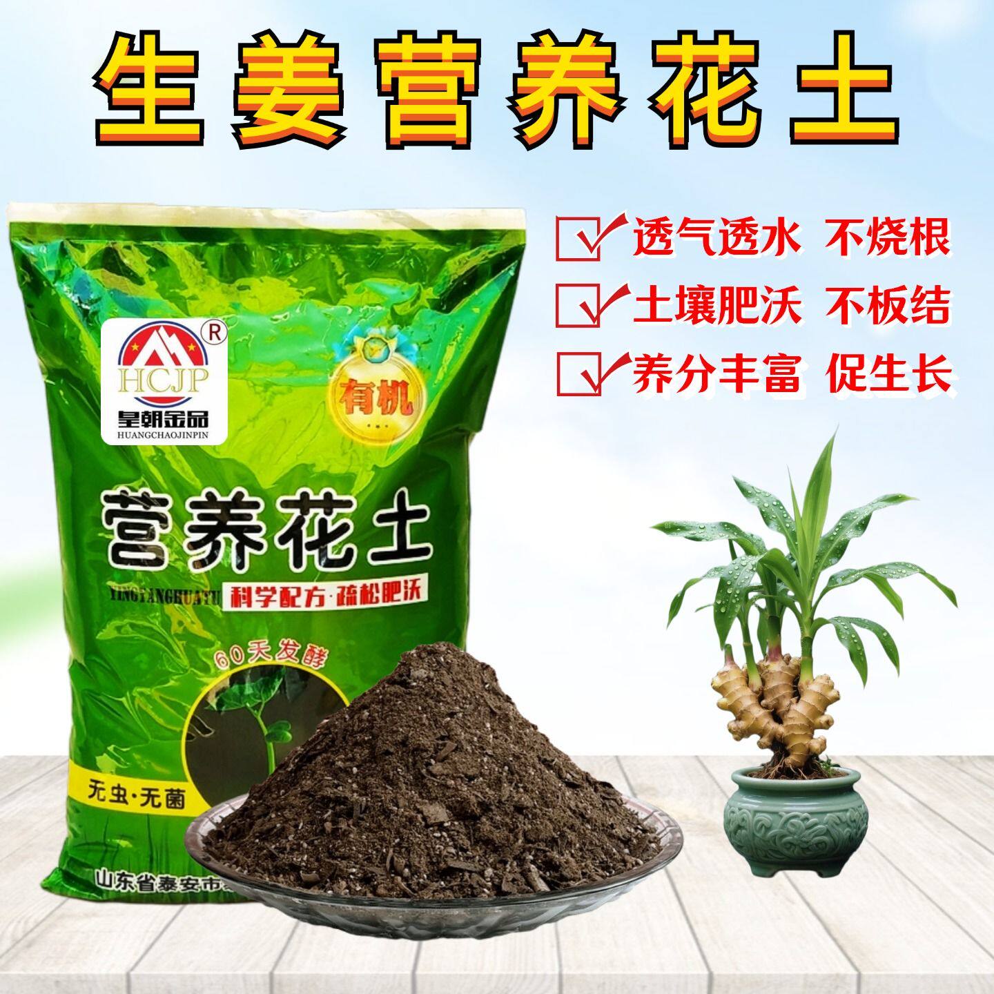 禄根姜生姜一桶姜山营养花土室内灵草盆景栽绿植物专用种植土透气