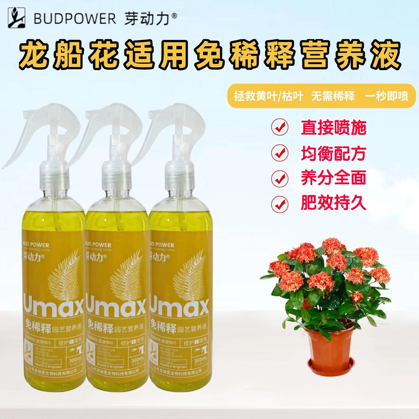 龙船花免稀释营养液室内老桩盆栽绿植专用花卉氮磷钾喷施叶面肥料