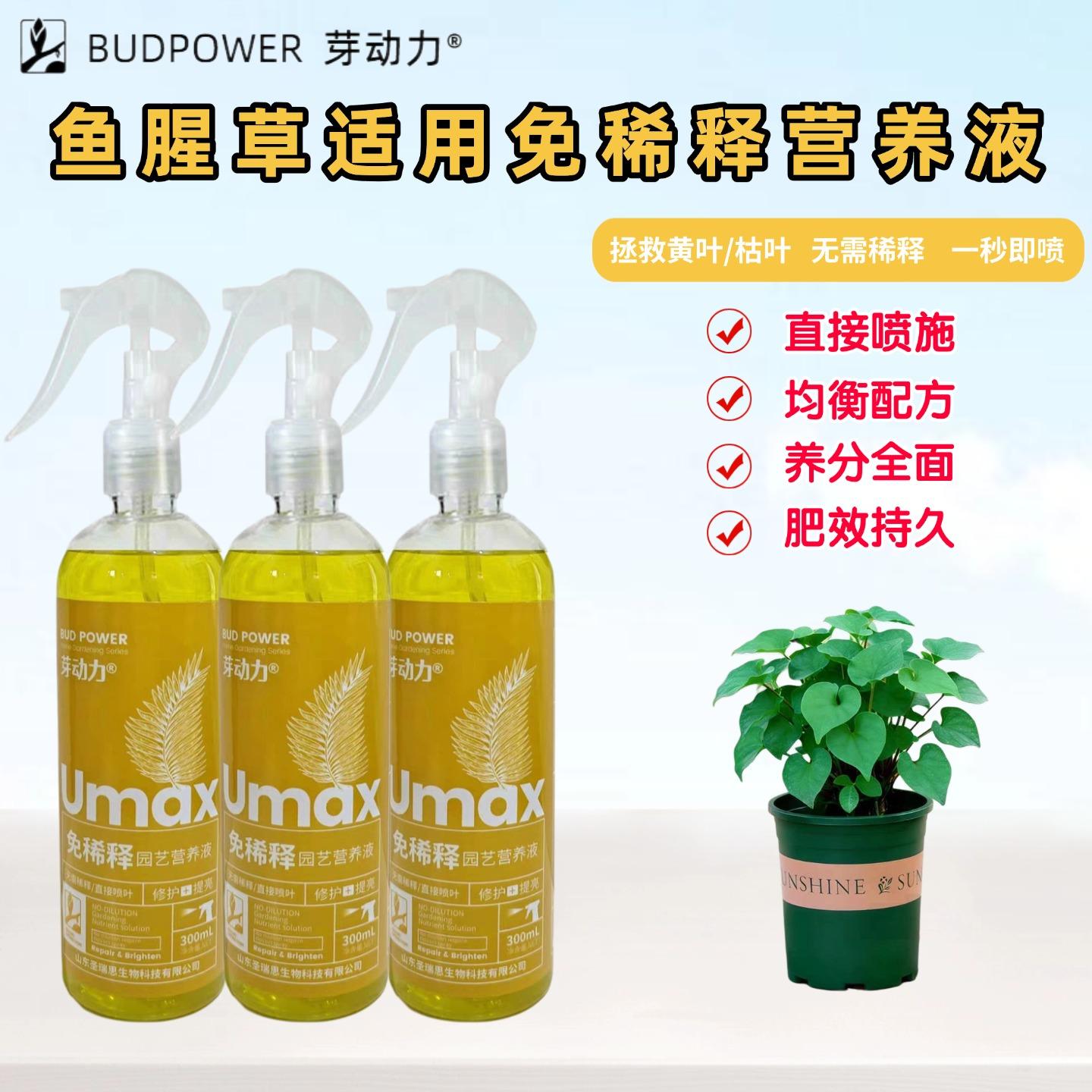 鱼腥草折耳根免稀释营养液庭院花叶家盆栽绿植物专用喷施叶面肥料