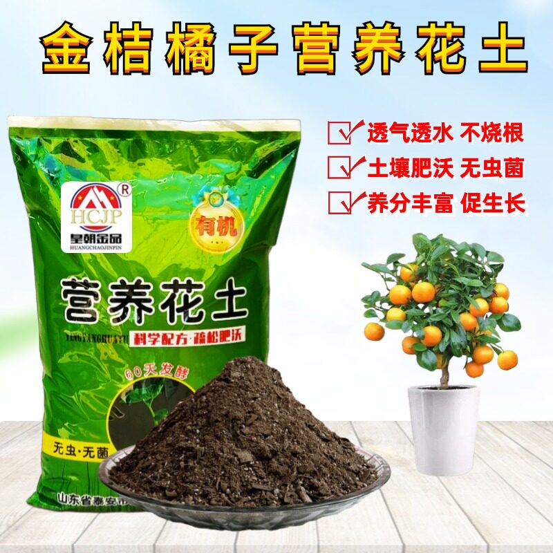 金桔桔子橘子营养花土室内阳台庭院盆栽绿植物专用翻换种植土透气