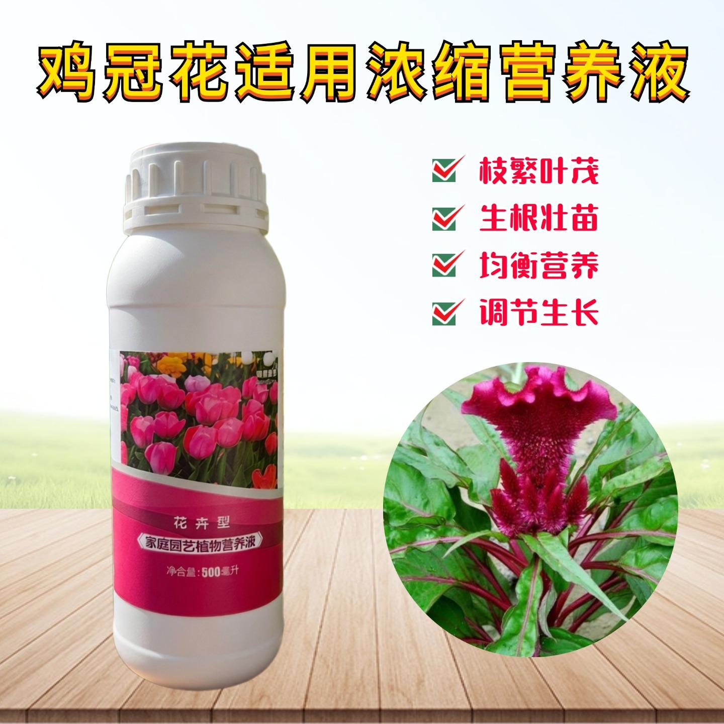 鸡冠花浓缩营养液凤尾红黄穗冠庭院盆栽绿植物专用氮磷钾水溶肥料