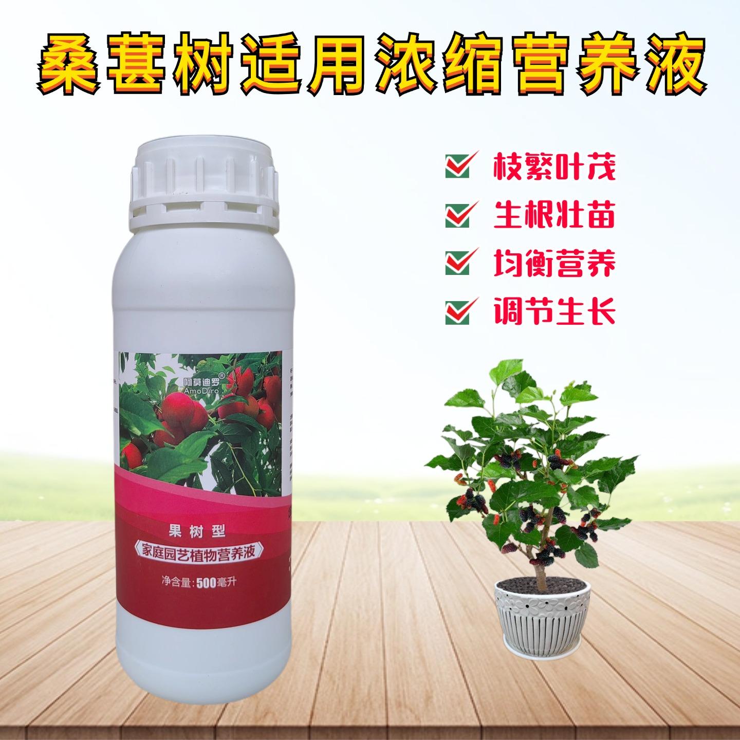 桑葚树营养液庭院长果老桩家盆景地栽植物专用氮磷钾水溶果树肥料