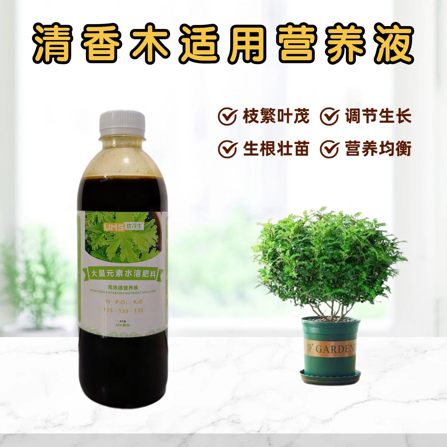 清香胡椒木驱蚊草营养液庭院盆景栽植物专用大量元素水溶花卉肥料