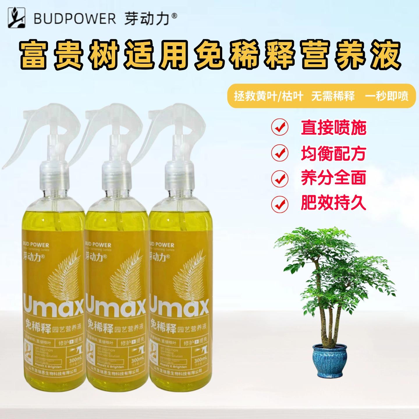 富贵树幌伞枫免稀释营养液室内大型盆栽绿植物花专用喷施叶面肥料