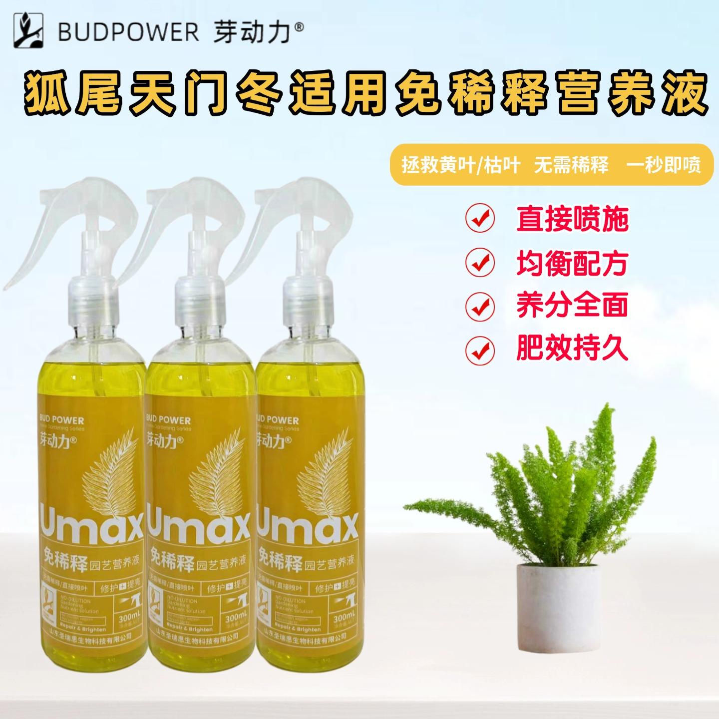 狐尾天门冬武竹免稀释营养液室内庭院盆栽绿植花专用喷施叶面肥料