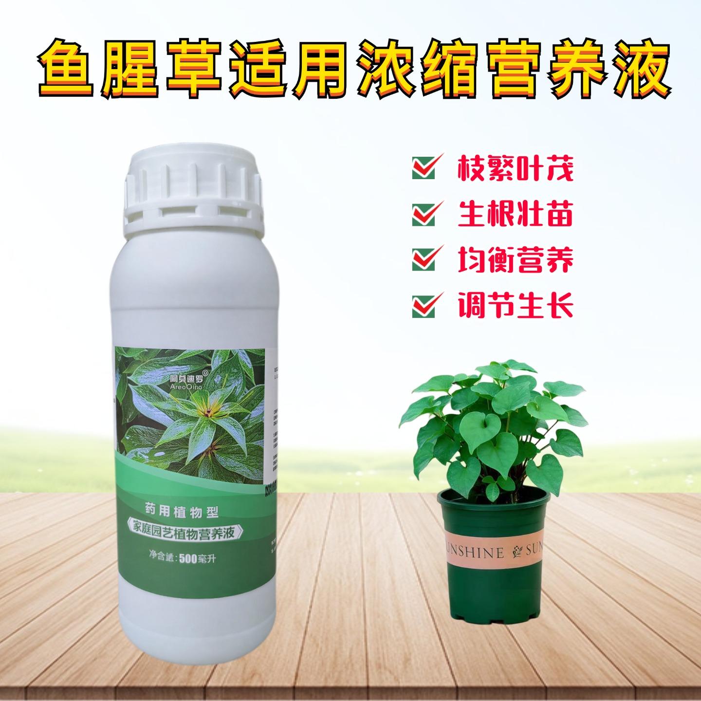 鱼腥草折耳根营养液庭院花叶家盆栽绿植物专用氮磷钾水溶蔬菜肥料