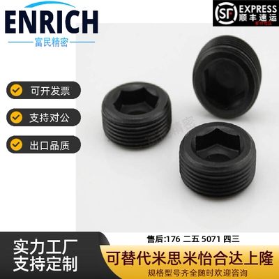 沉头螺塞MSWT/MSWTK-