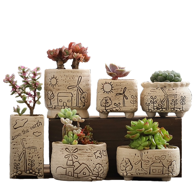 特价植物多肉创意粗陶