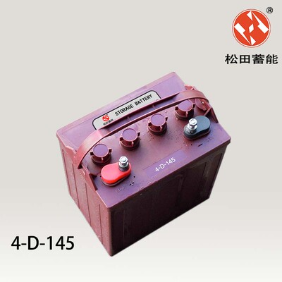 蓄电池高尔夫球巡逻车水电瓶