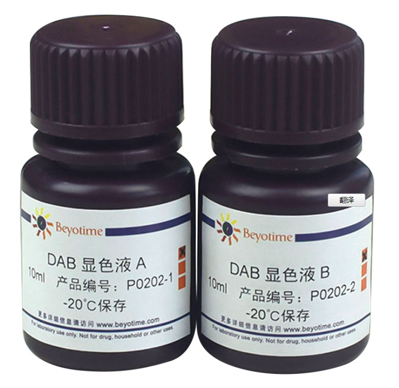 碧云天 P0202 DAB辣根过氧化物酶显色试剂盒 P0203