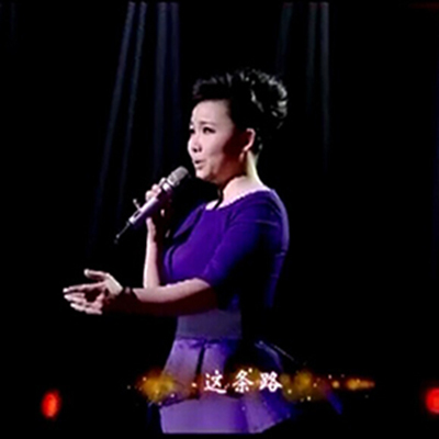 王莉 这条路 高品质伴奏 无损音质