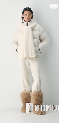 aritzia加拿大女款四格连帽加厚鹅绒800蓬羽绒服雾面常规短款