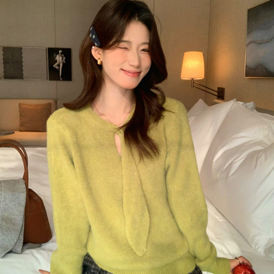 SUSAN-系朦胧肌理感圆领缺口设计精致感保暖毛衣(单卖毛衣)80308