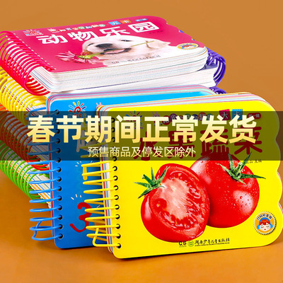 阳光宝贝翻翻乐大卡全套10册