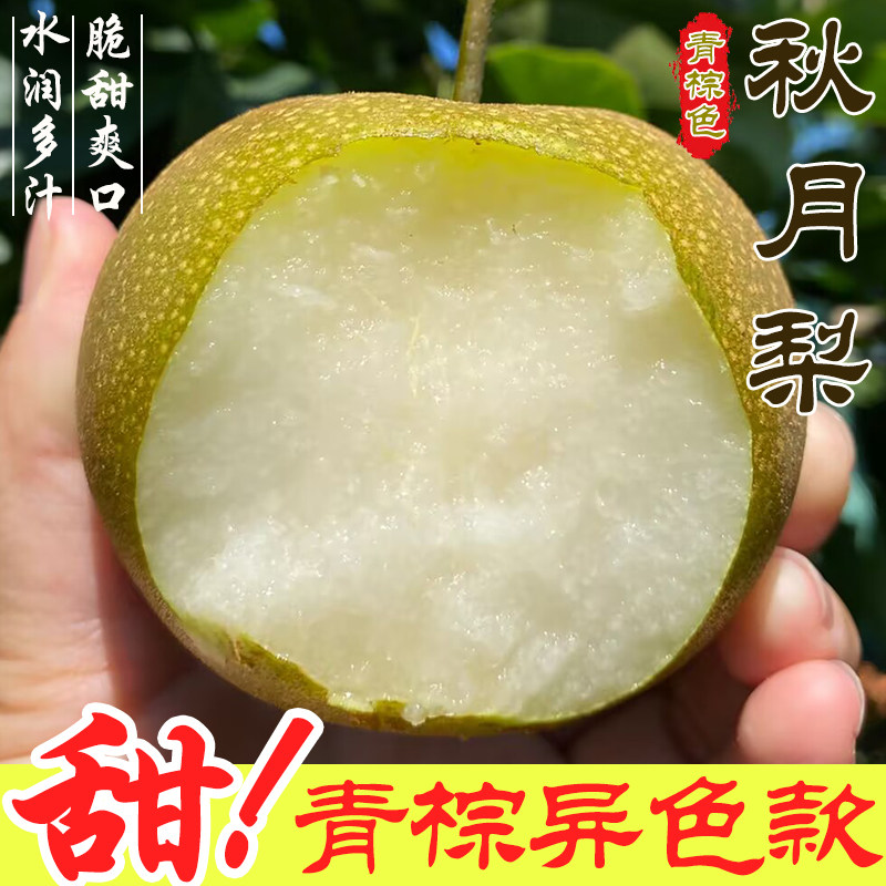正宗青棕色秋月蜜梨子新鲜脆甜无渣当季水果现摘多汁清甜爽口