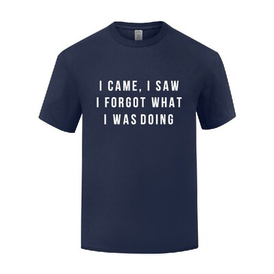 搞笑讽刺短袖T恤男宽松 I Came I Saw I Forgot What I was Doing