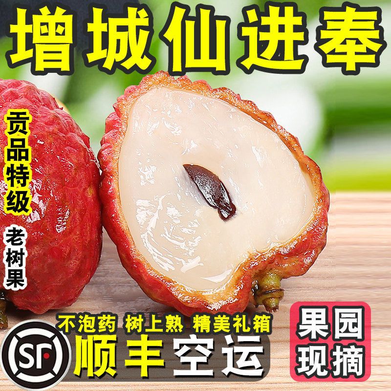 【正宗增城仙进奉荔枝】顺丰空运现摘新鲜优质果老树大果10斤整箱