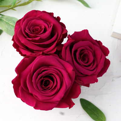 roseamor厄瓜多尔大号单朵永生花