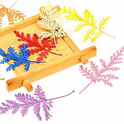 蒿叶天然植物树叶标本压花材料