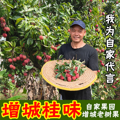 广东正宗增城桂味荔枝礼盒装10斤