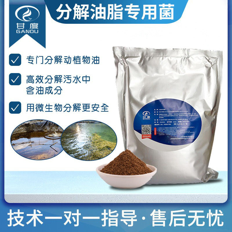 甘度分解油脂专用菌 微生物含动植物油污水处理菌剂 活性净水菌种