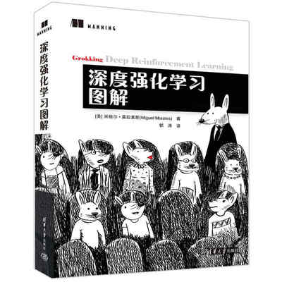 深度强化图解 [美]米格尔·莫拉莱斯(Miguel Morales)著   郭涛 译 清华大学出版社 新华书店正版