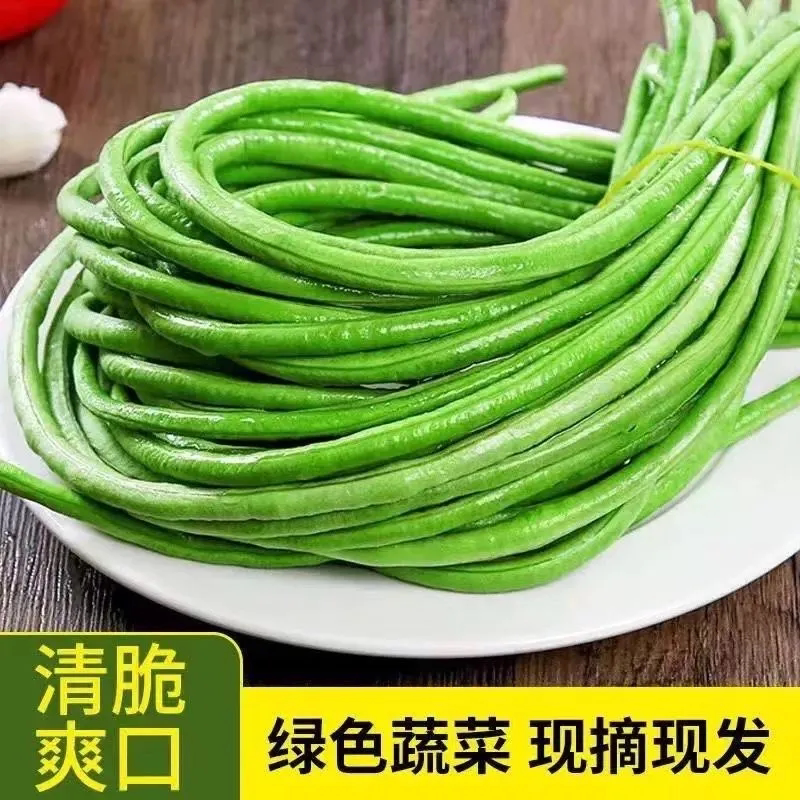 豆角豇豆新鲜长豆角酸豆角当季蔬菜当天现摘现发批发1斤3斤5斤