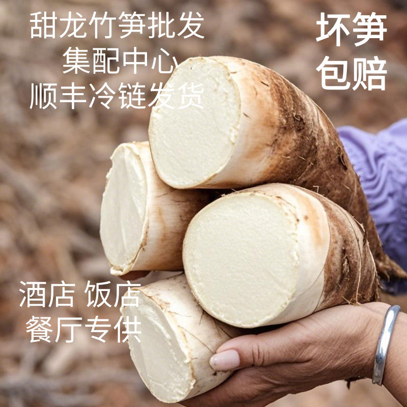 云南甜龙竹笋曼歇甜笋批发酒店饭店餐厅供货定制顺丰冷链10斤装