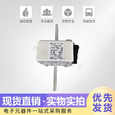 巴斯曼熔断器170M6738保险丝