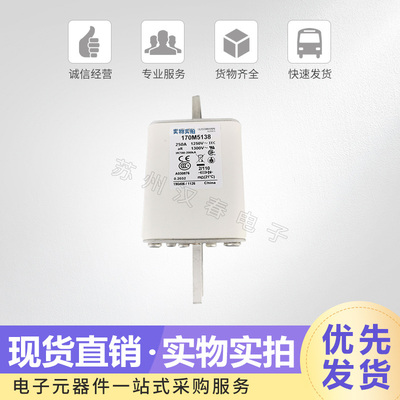 熔断器170M5138 5139 5140 5141 5142 5143现货 当天发货